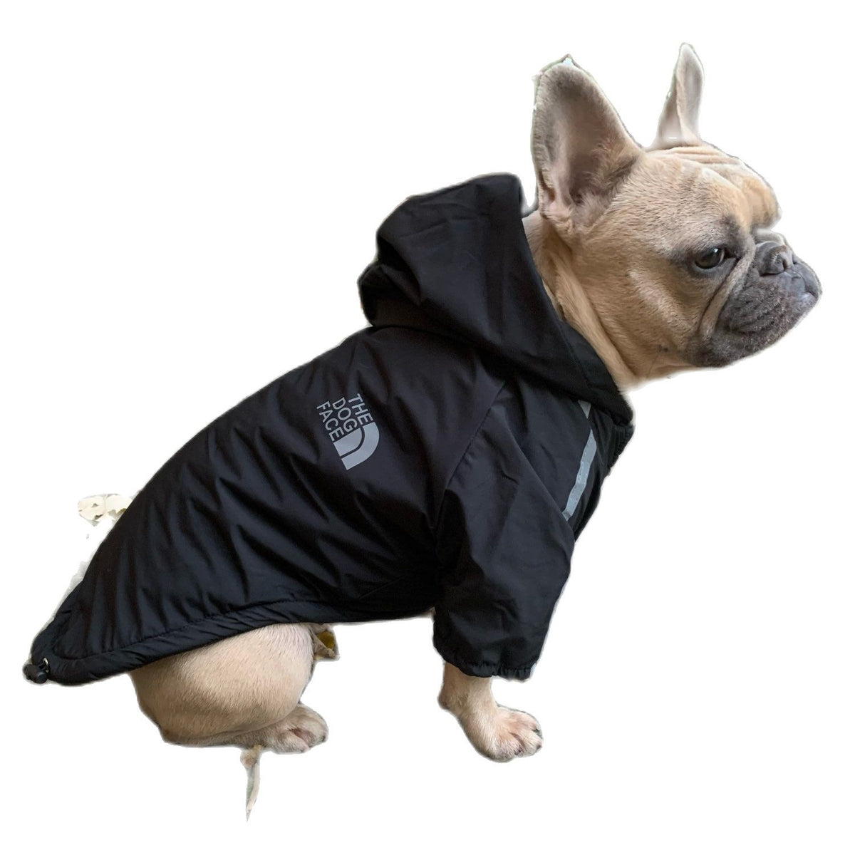 dog face puffer jacket